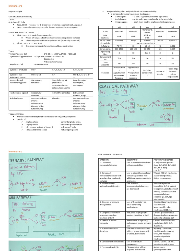 Immunosero 2 | PDF | Antibody | Immune System