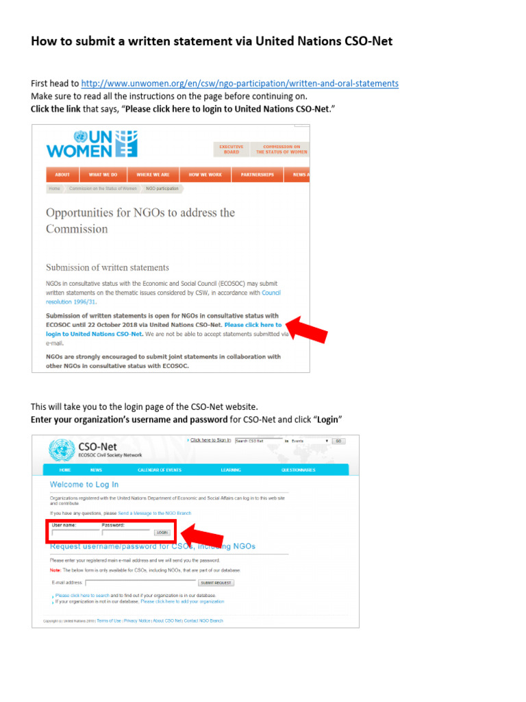 CSW63 NGO Written Statement Tutorial EN | PDF | Career & Growth ...