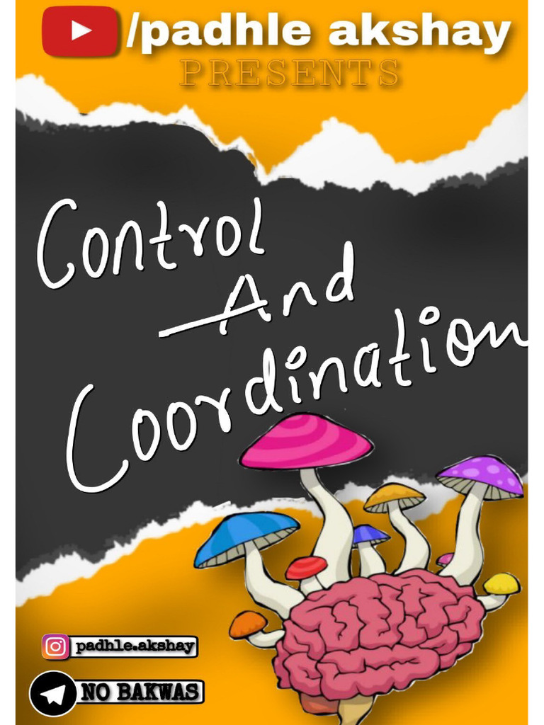 Padhle Akshay Control Coordination | PDF