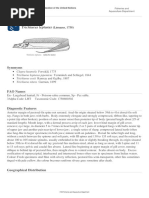 Pakol Fish: Characteristics and Habitat | PDF