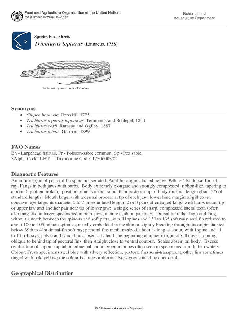 Trichiurus lepturus Species Overview | PDF | Fish