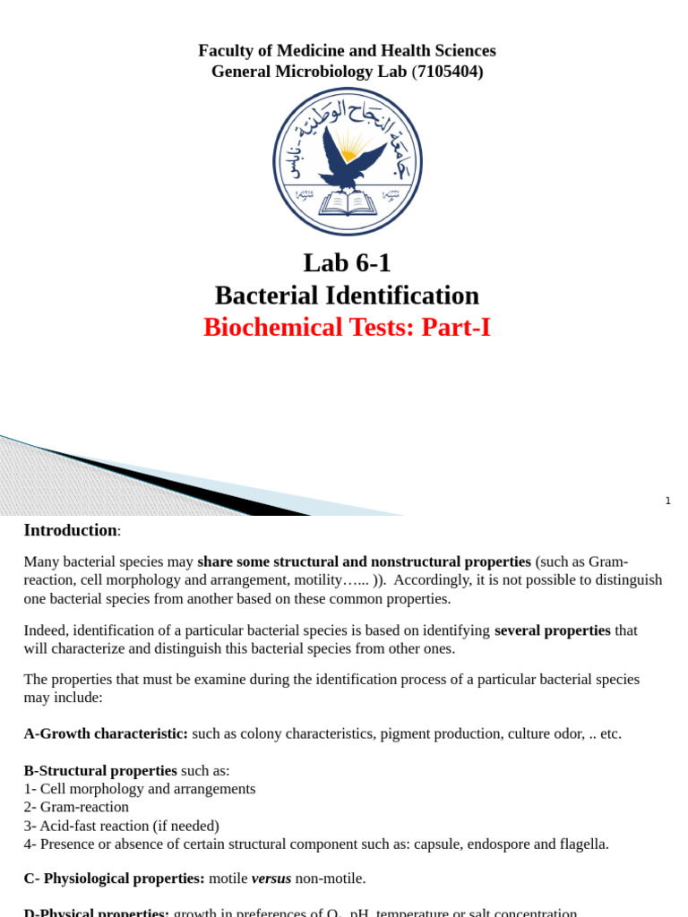 Lab 6 Biochemical Tests 1 and 3 | PDF | Science & Mathematics