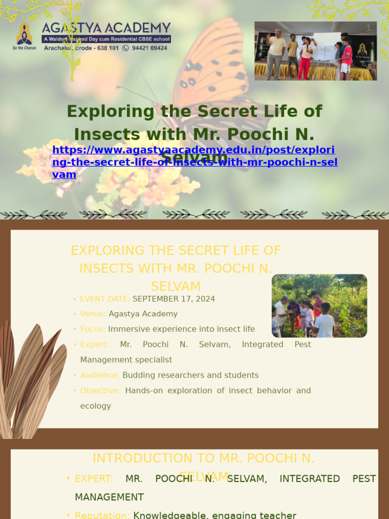 Insect Exploration with Mr. Selvam | PDF | Social Science | Science ...