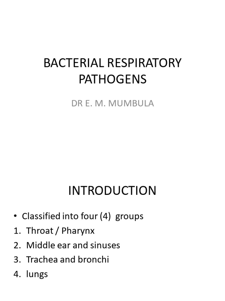 Bacterial Respiratory Infections | PDF | Tuberculosis | Pneumonia