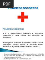 5Hs e 5Ts Da PCR | PDF | Coração | Sangue