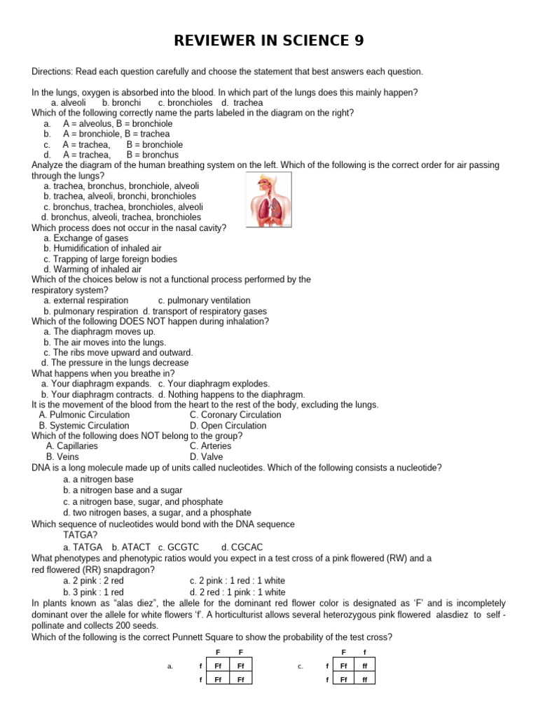 Reviewer in Science 9 | PDF | Lung | Respiratory System