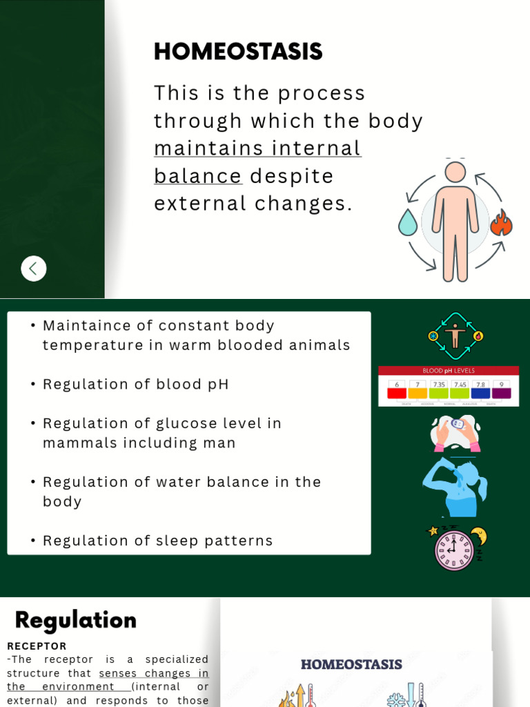 Understanding Homeostasis Mechanisms | PDF | Homeostasis | Clinical ...