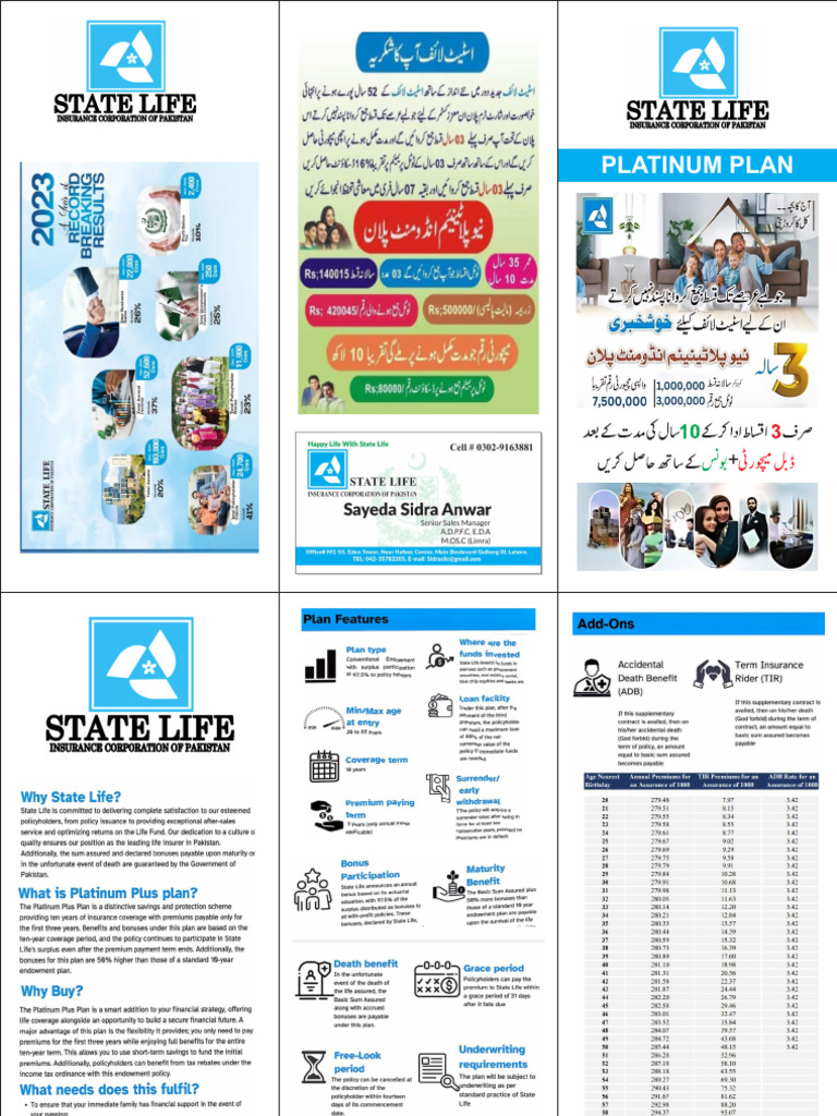 Platinium Plan | PDF