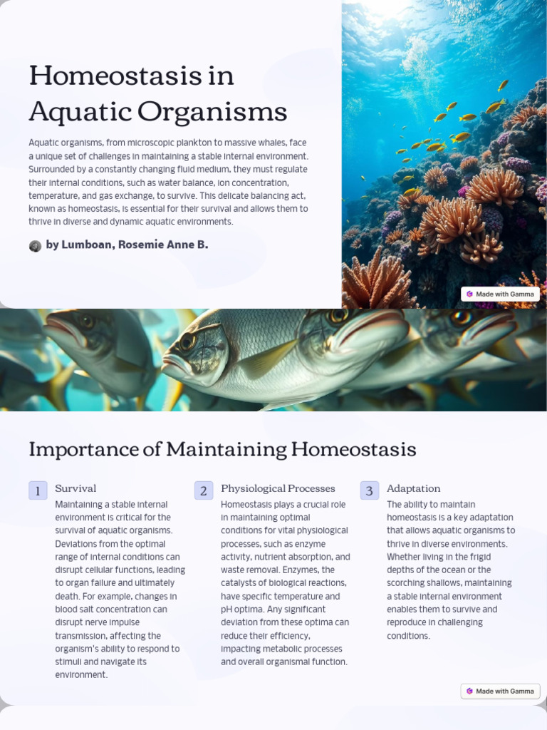 Homeostasis in Aquatic Organisms | PDF | Gill | Homeostasis
