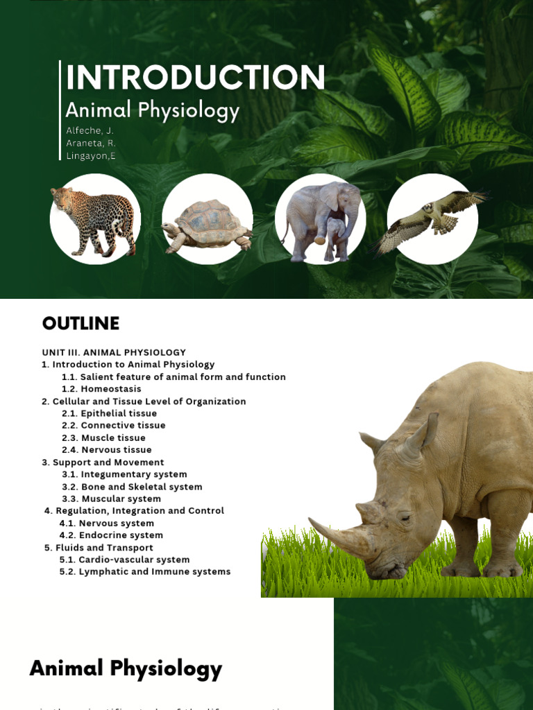 Overview of Animal Physiology | PDF | Anatomical Terms Of Location ...