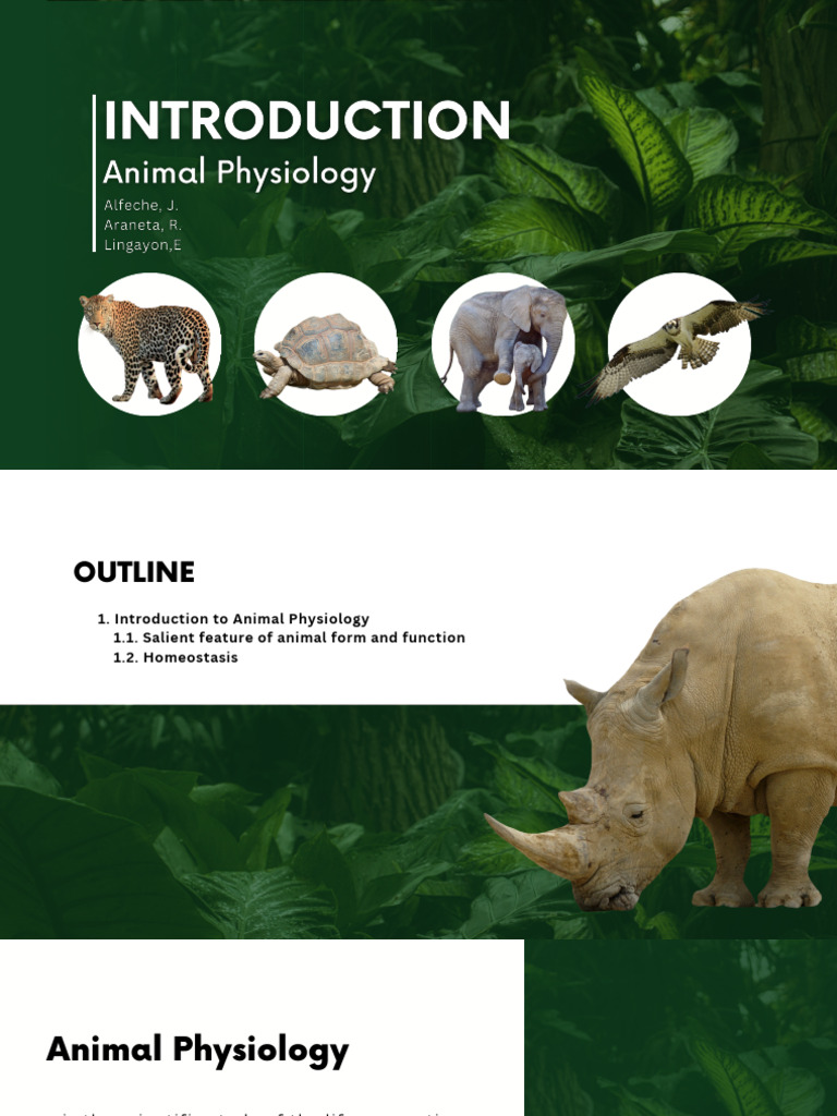 Introduction To Animal Physiology | PDF | Homeostasis | Physiology
