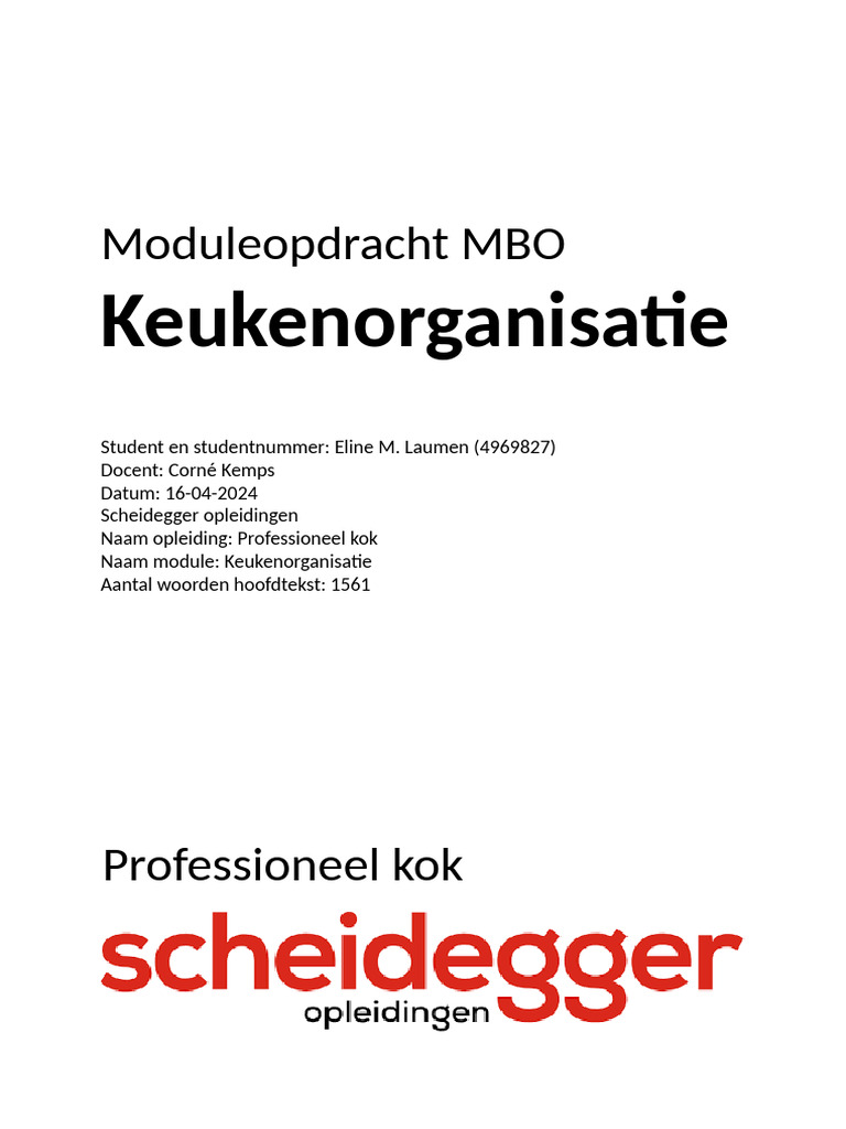 Moduleopdracht MBO | PDF