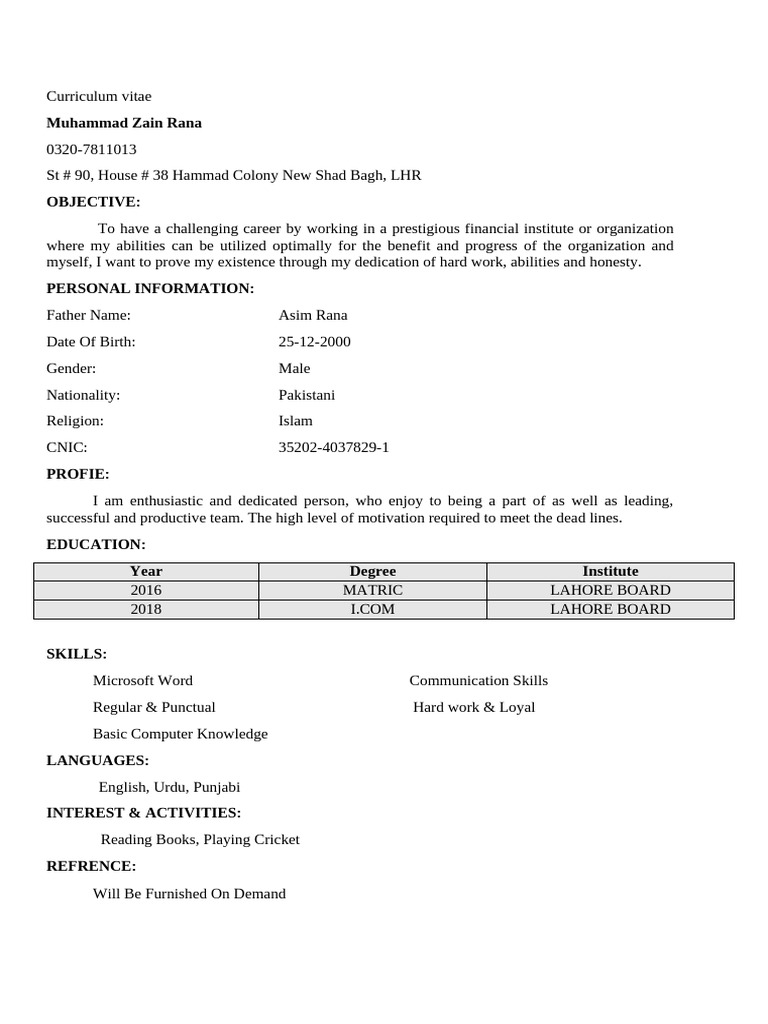 M.Zain Rana CV Professional | PDF