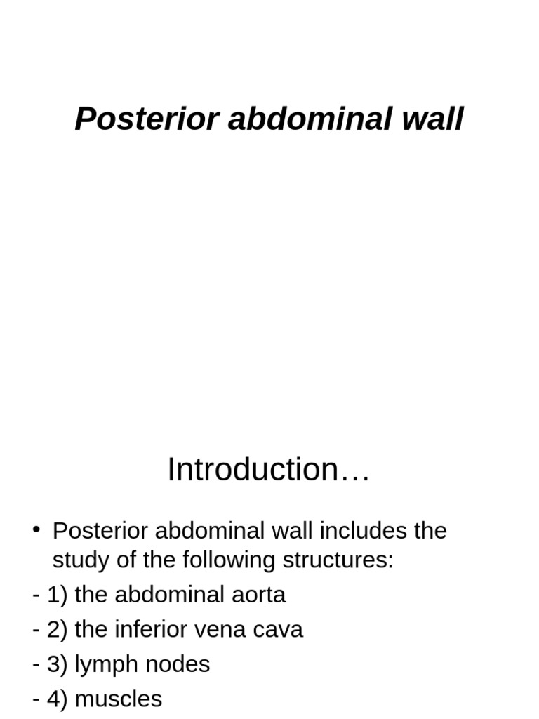 Posterior Abdominal Wall1 | PDF | Aorta | Stomach