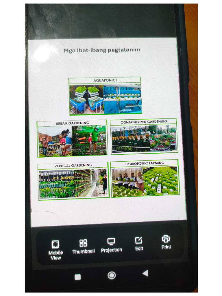 IMG20241112173611 JPG | PDF