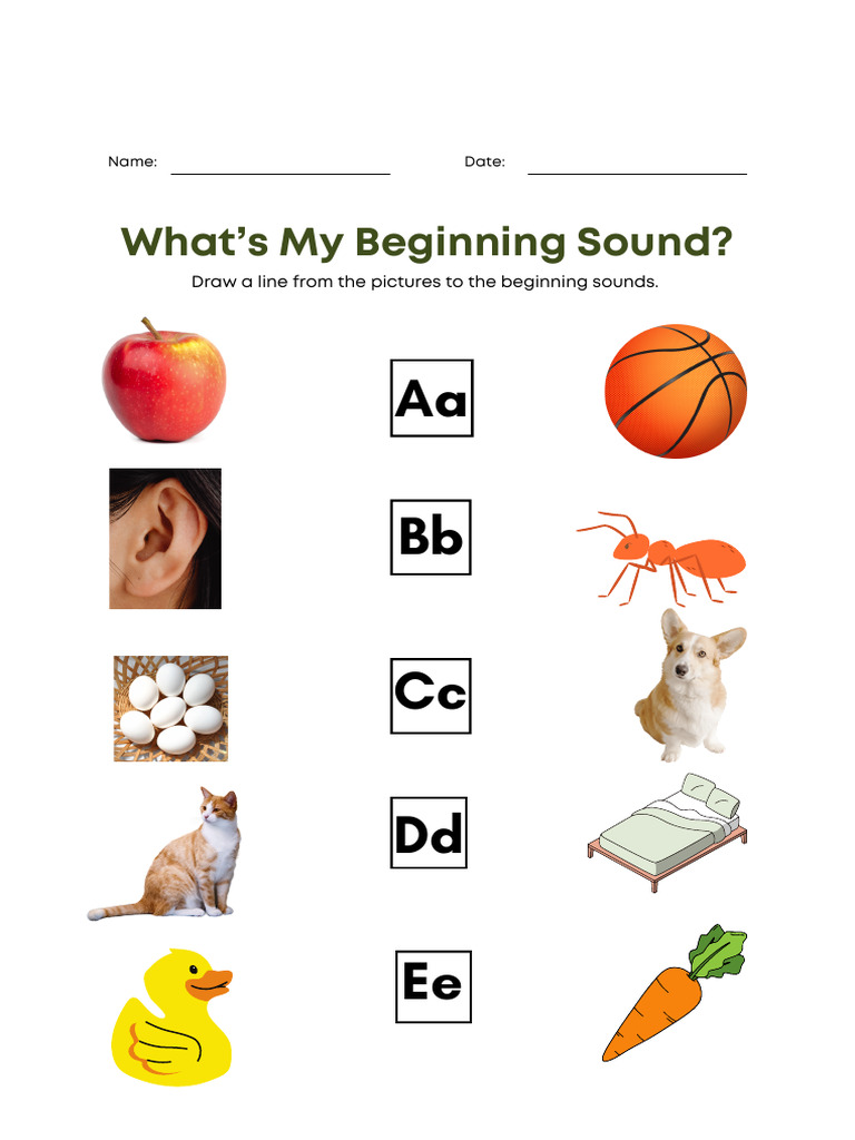Your Paragraph Text | PDF