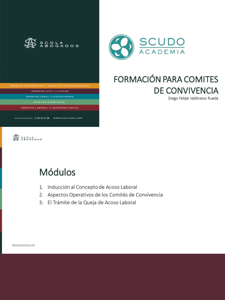 02 - M2 - Aspectos Operativos de Los Comités de Convivencia | PDF