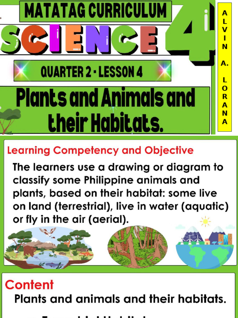 Q2-Science 4-Week 4 | PDF | Home & Garden | Science & Mathematics