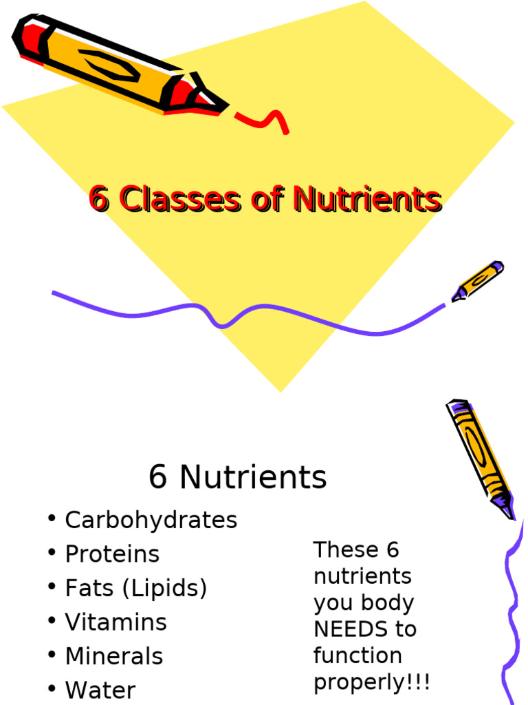 6 Classes of Nutrients Powerpoint | PDF | Fat | Cholesterol