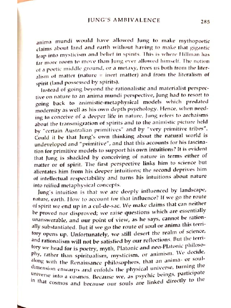 Xerox David Tacey | PDF