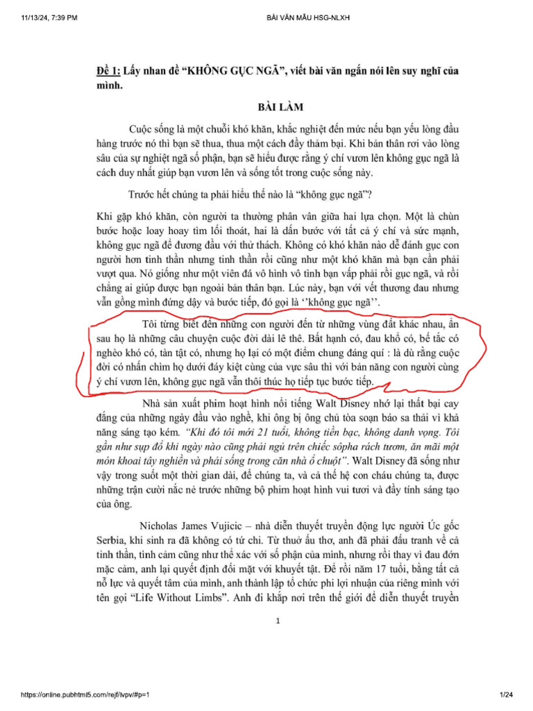 Bài Văn Mẫu Hsg-nlxh | PDF