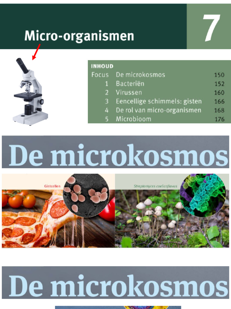 Powerpoint Micro-Organismen | PDF