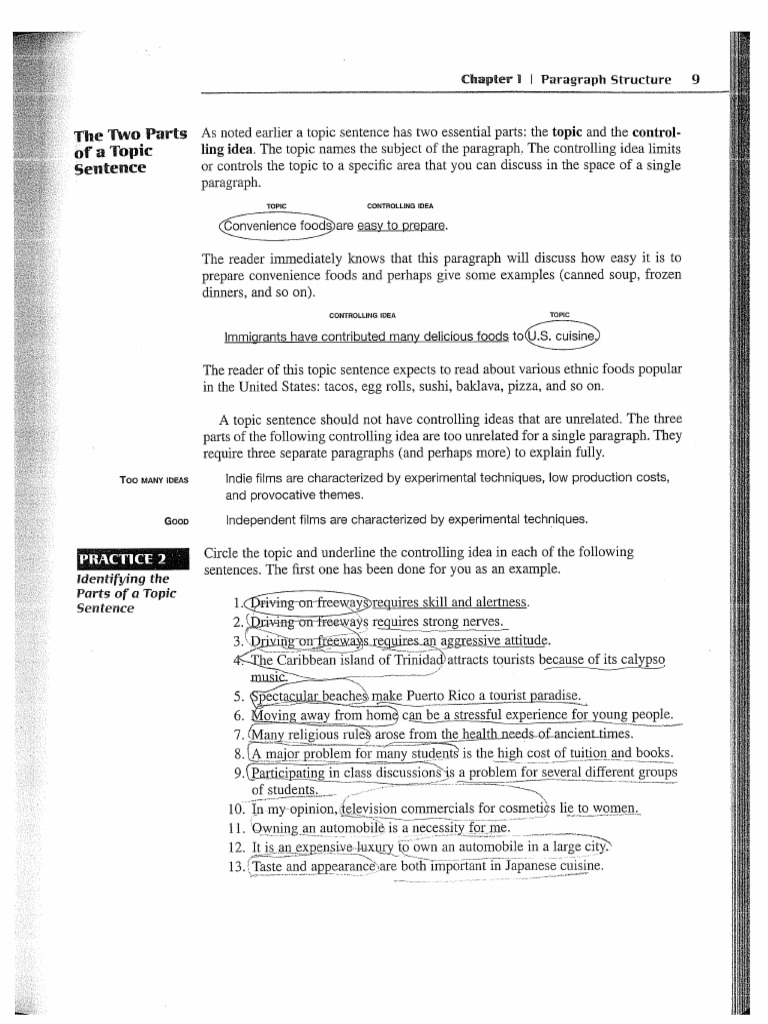 Understanding Topic Sentences | PDF