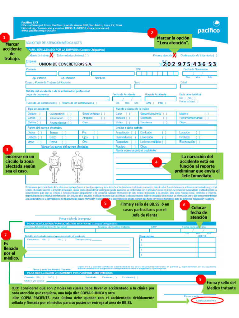 Modelo de Llenado de SCTR | PDF
