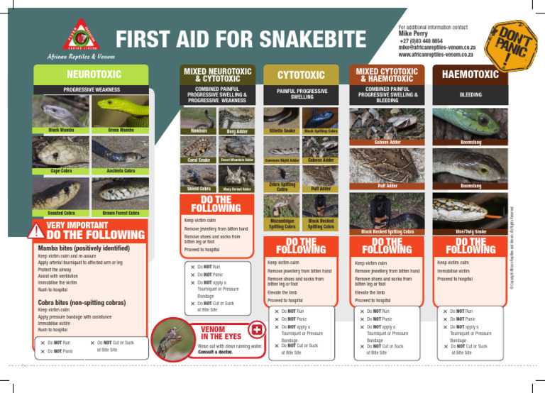 First Aid For Snakebite - PDF Version 1 | PDF | Venomous Snakes | Snake