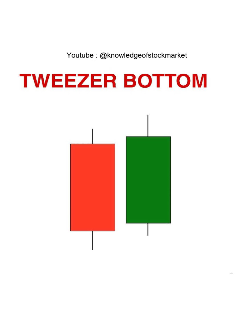 Tweezer Bottom Tutorial | PDF | Home & Garden