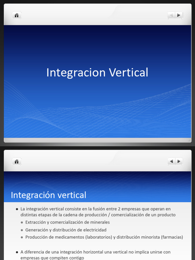 Sección 2 - Integración Vertical | PDF | Monopolio | Business