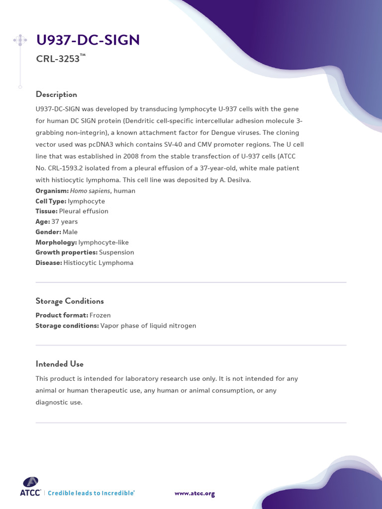 CRL 3253 Product Sheet U937 DC Sign 2 | PDF | Atcc (Company) | Biology
