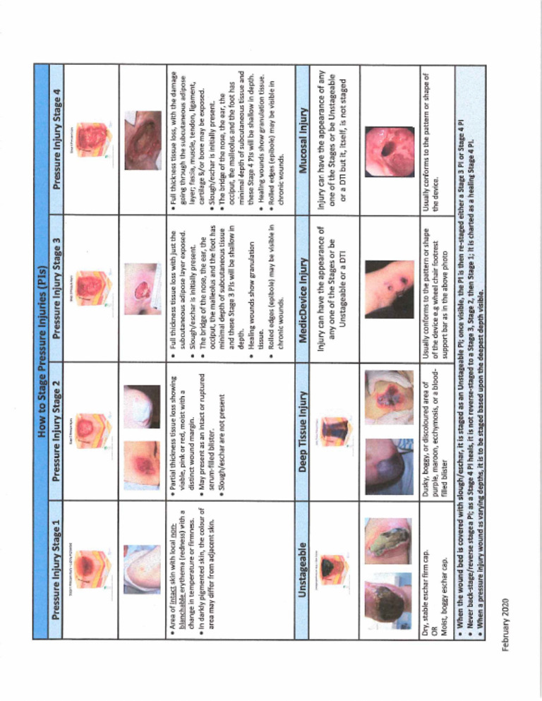 Wounds | PDF