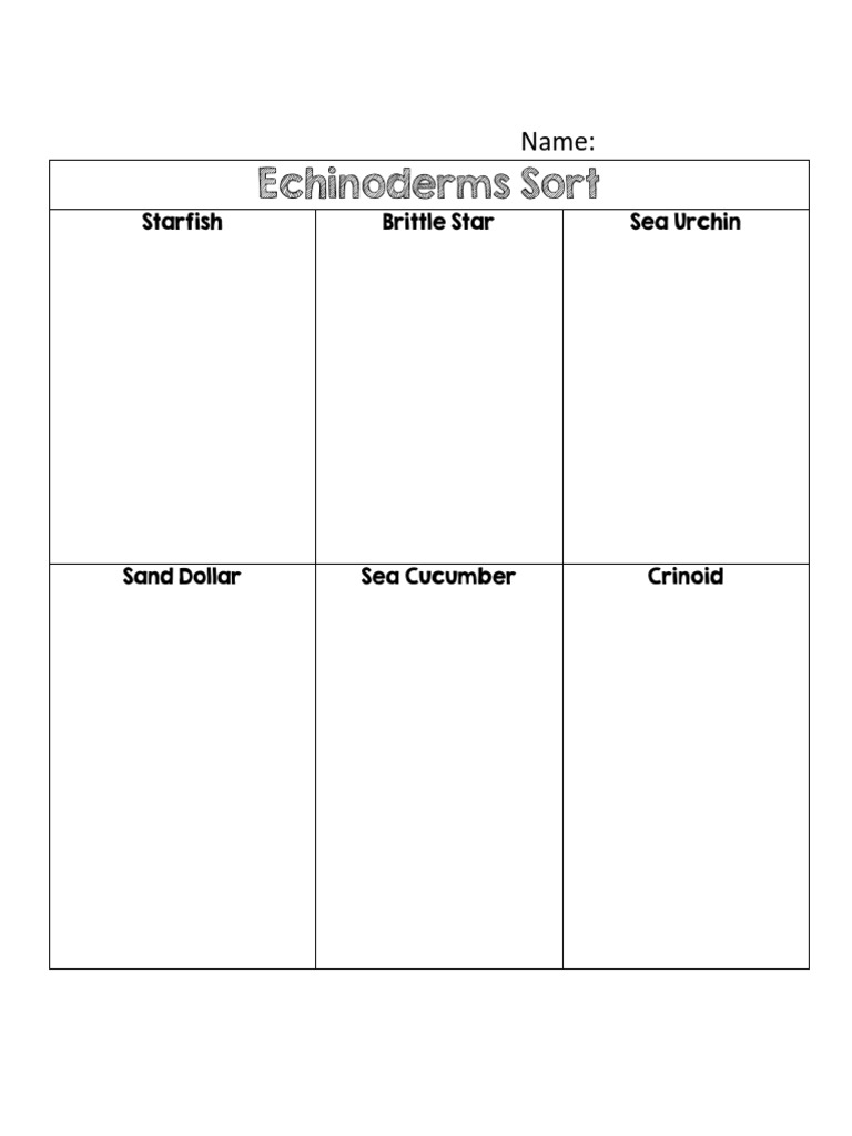 Echinoderms Worksheet 1 | PDF | Science & Mathematics