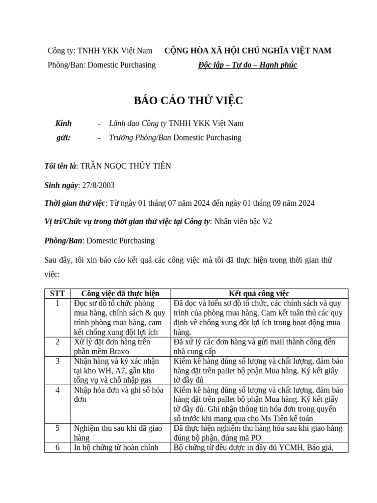 Mau Bao Cao Thu Viec 1 - 2504081510 | PDF