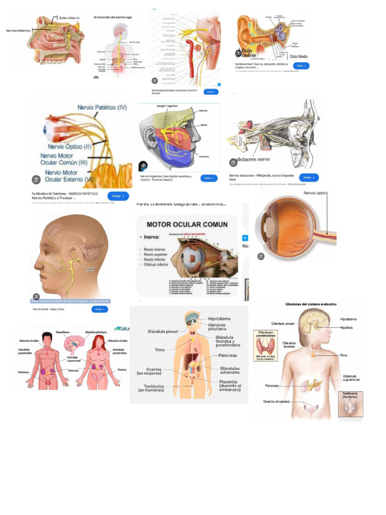 Psicologia PDF | PDF