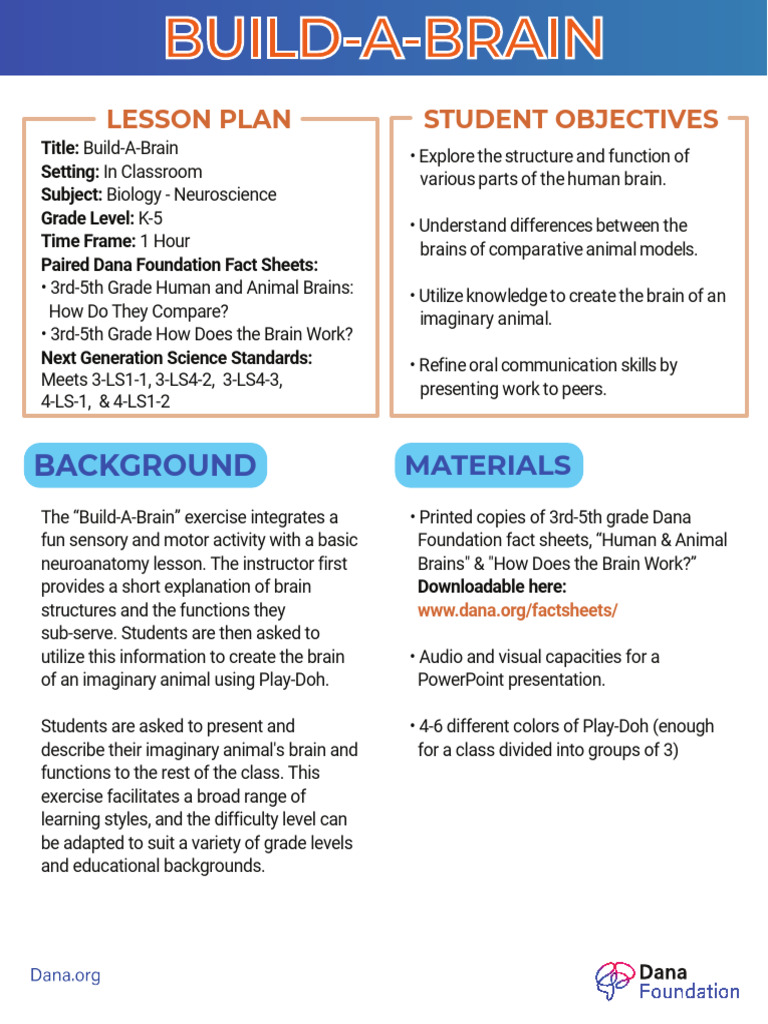 Build A Brain Lesson K 5 | PDF