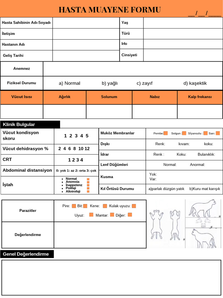 Form Son Hali | PDF
