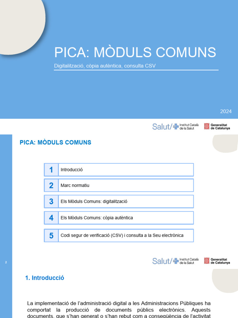PICA Moduls Comuns 2024 V1 | PDF