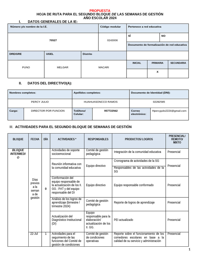 Propuesta de Hoja de Ruta - Ii SG - 2024 | PDF | Evaluación