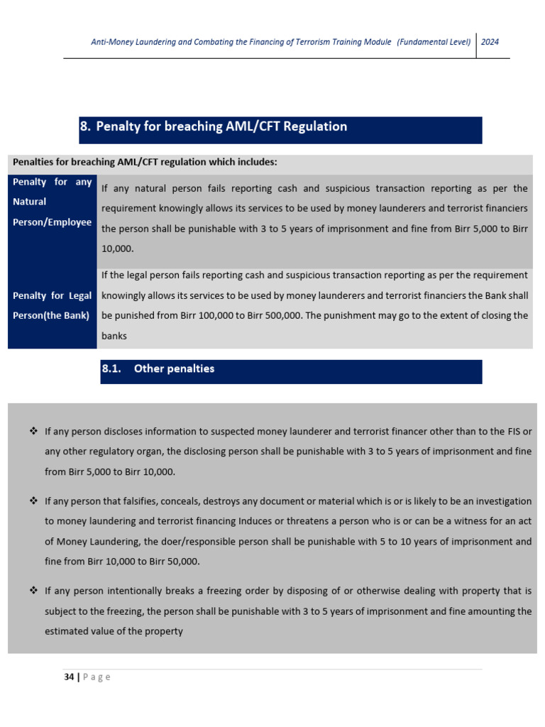 AML/CFT Penalties and Regulations | PDF | Money Laundering | Terrorism ...