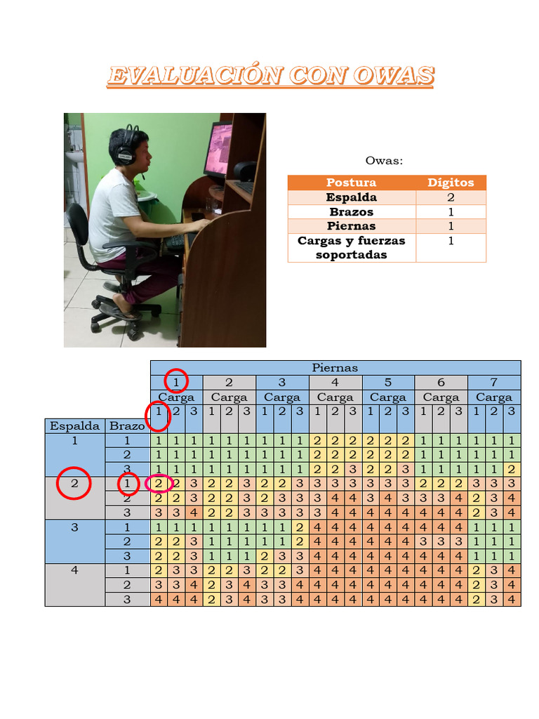 Evaluación Con Owas | PDF