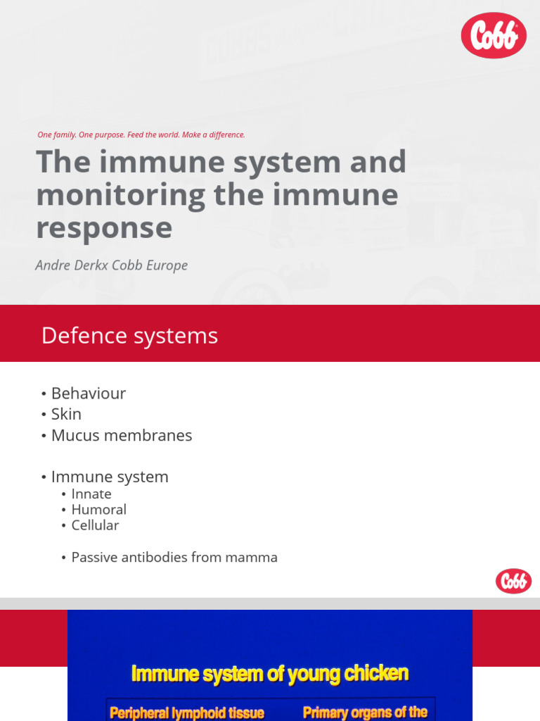 The Immune System and Monitoring The Immune Response | PDF | Immune System | Humoral Immunity