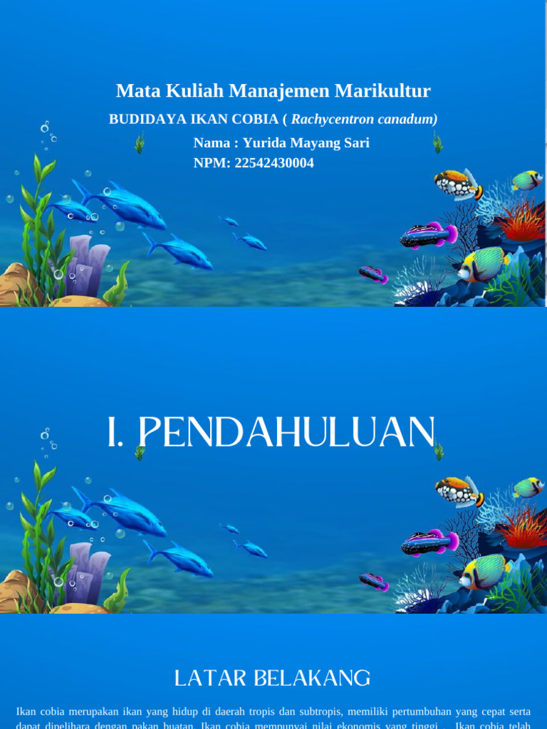 Budidaya Ikan Cobia (Rachycentron Canadum) | PDF