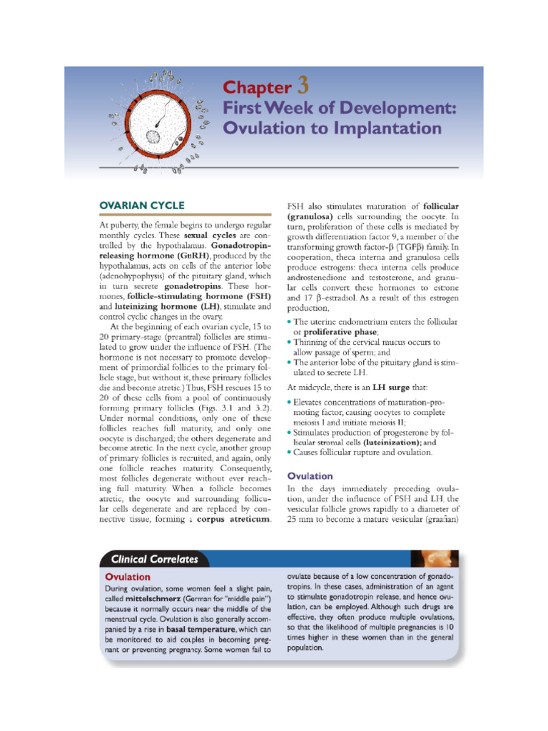 Developmental Biology | PDF