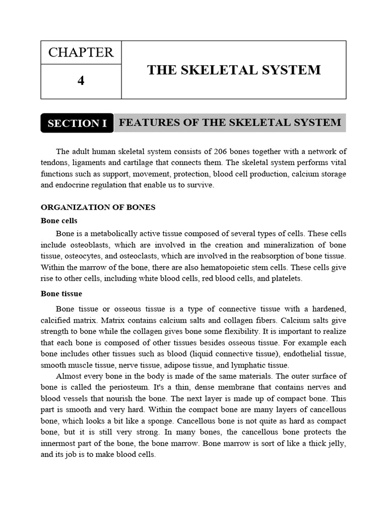 (Reading 3) The Skeletal System | PDF | Vertebral Column | Bone