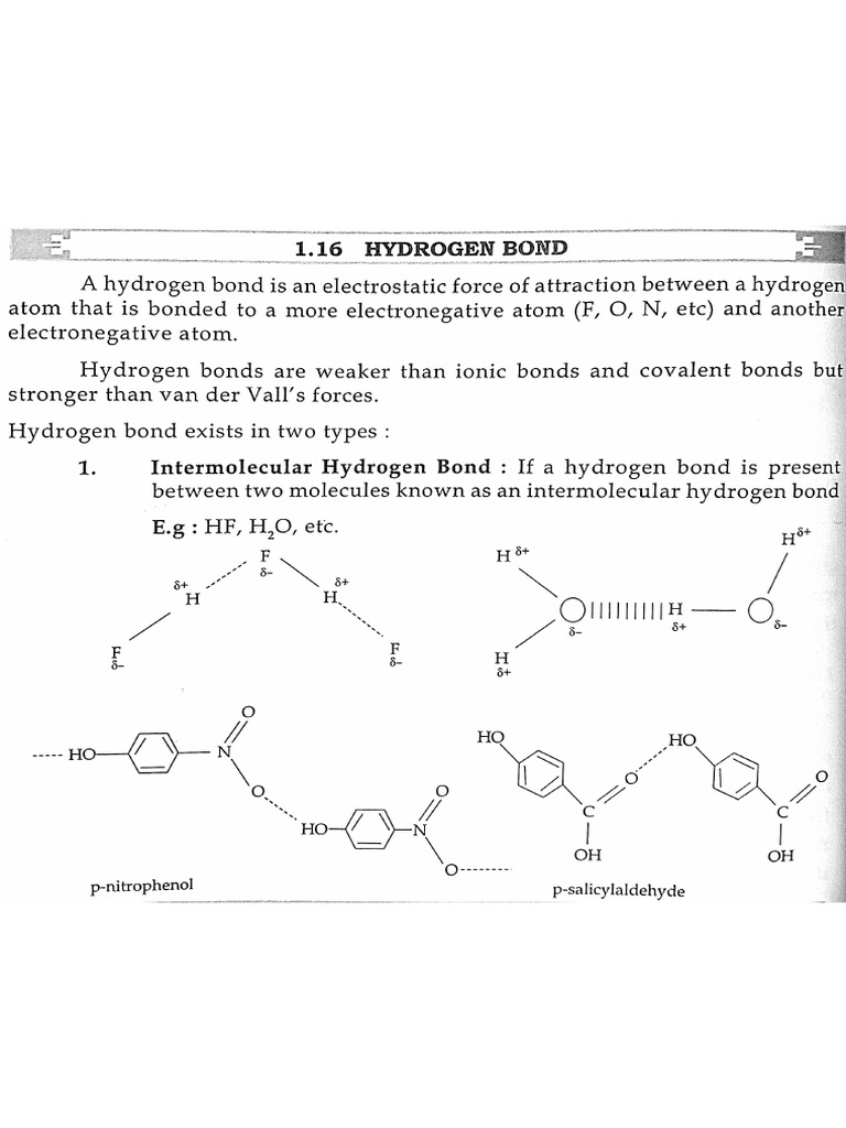 Hydrogen Bond Notes | PDF