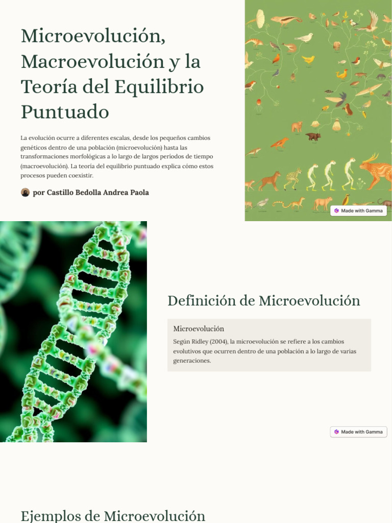 Microevolucion Macroevolucion y La Teoria Del Equilibrio Puntuado | PDF ...
