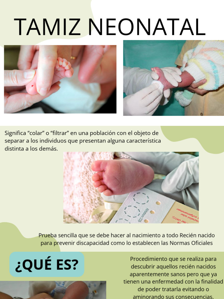 Tamizaje Neonatal: Prevención de Enfermedades | PDF | Infantes ...