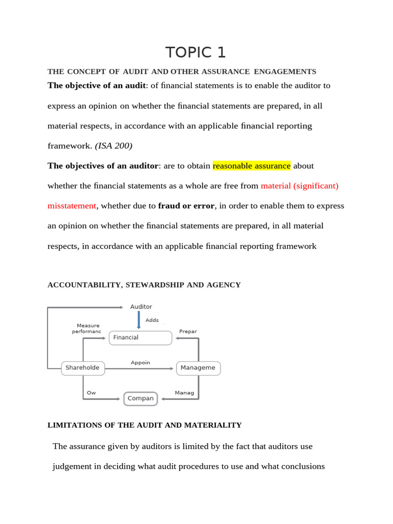 TOPIC 1 | PDF | Audit | Business